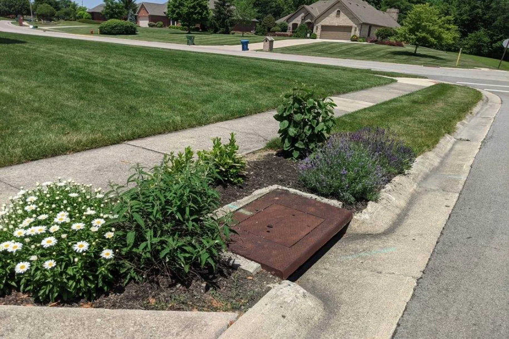 Nature Customscapes | Landscaping Services in Sidney, Ohio